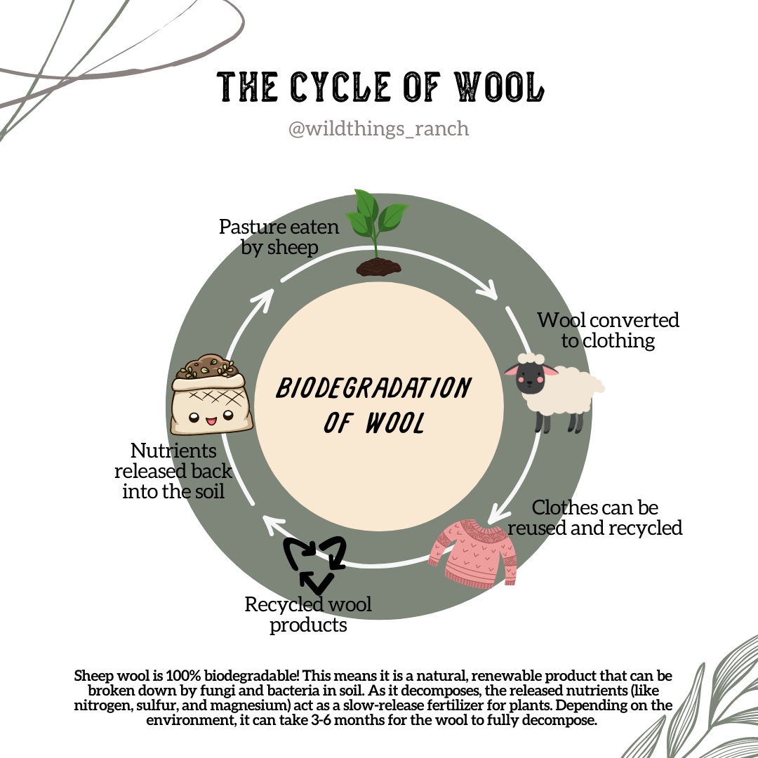 Wool is 100% Biodegradable – Wild Things Ranch